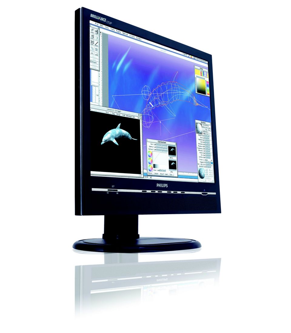 LCD monitor 170P5EB/27 | Philips