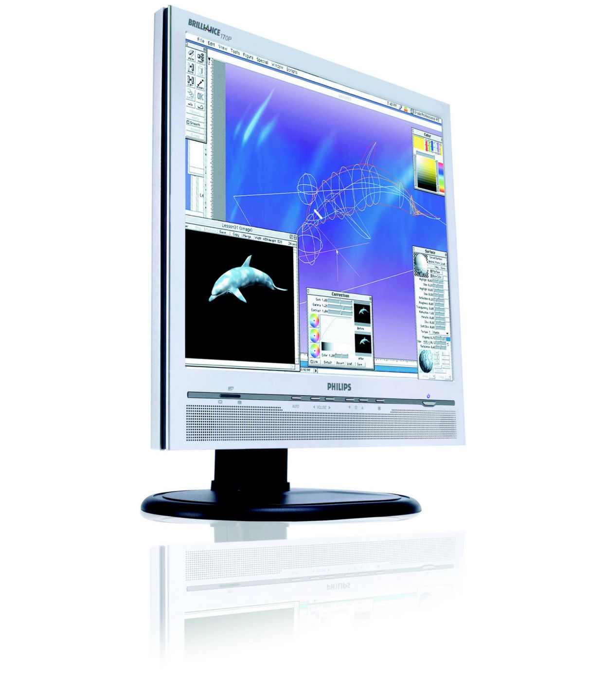 LCD monitor 170P5ES/00 | Philips