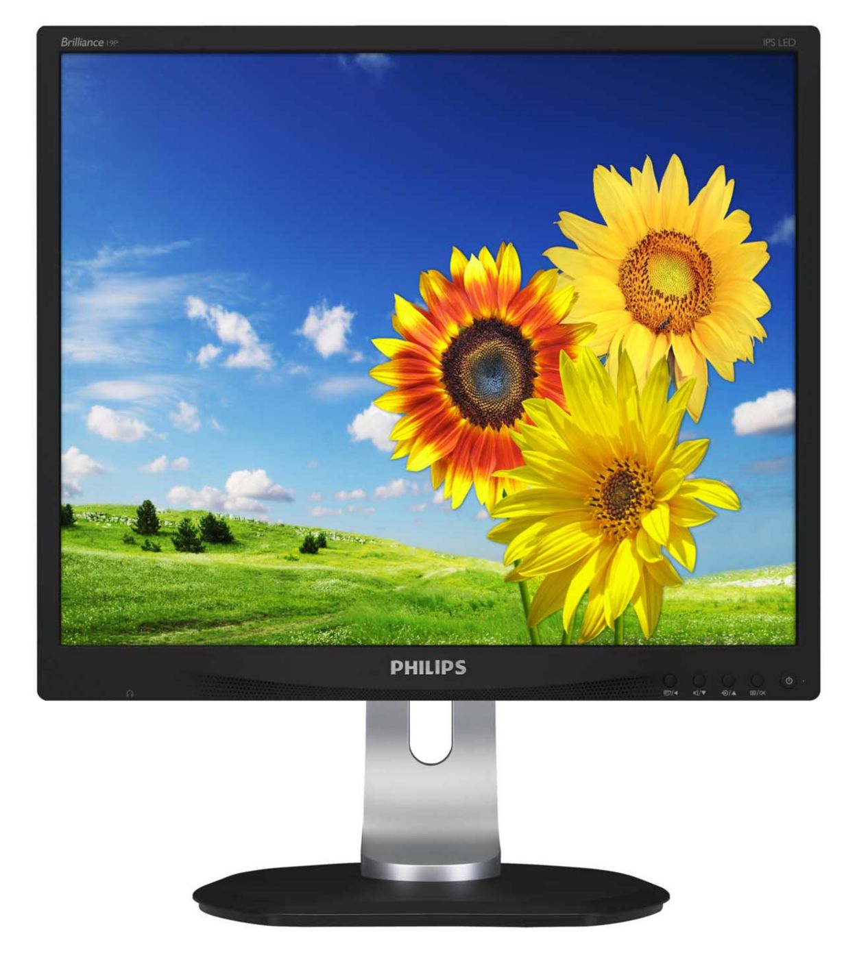 Moniteur LCD avec rétroéclairage LED 19P4QYEB/00 | Philips