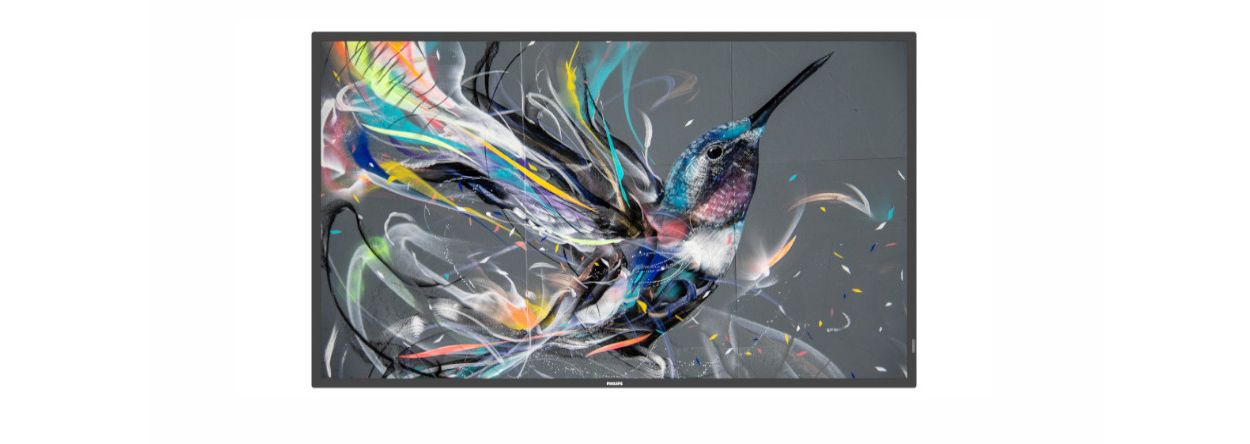 Q-Line-Monitor 75BDL3511Q/00 | Philips