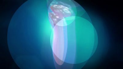 Philips SmartClean for Series 9000 Shavers | Philips