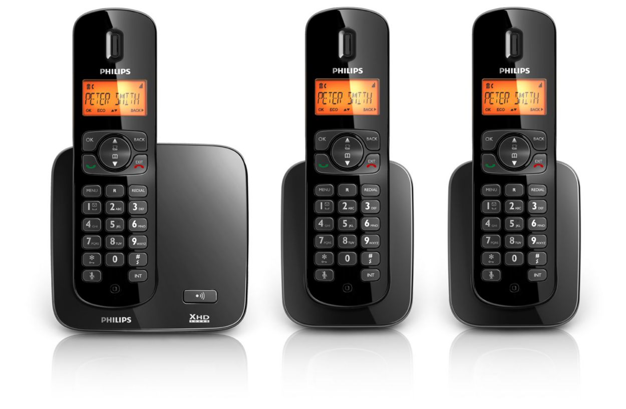 Perfect sound Draadloze telefoon CD1703B/22 | Philips