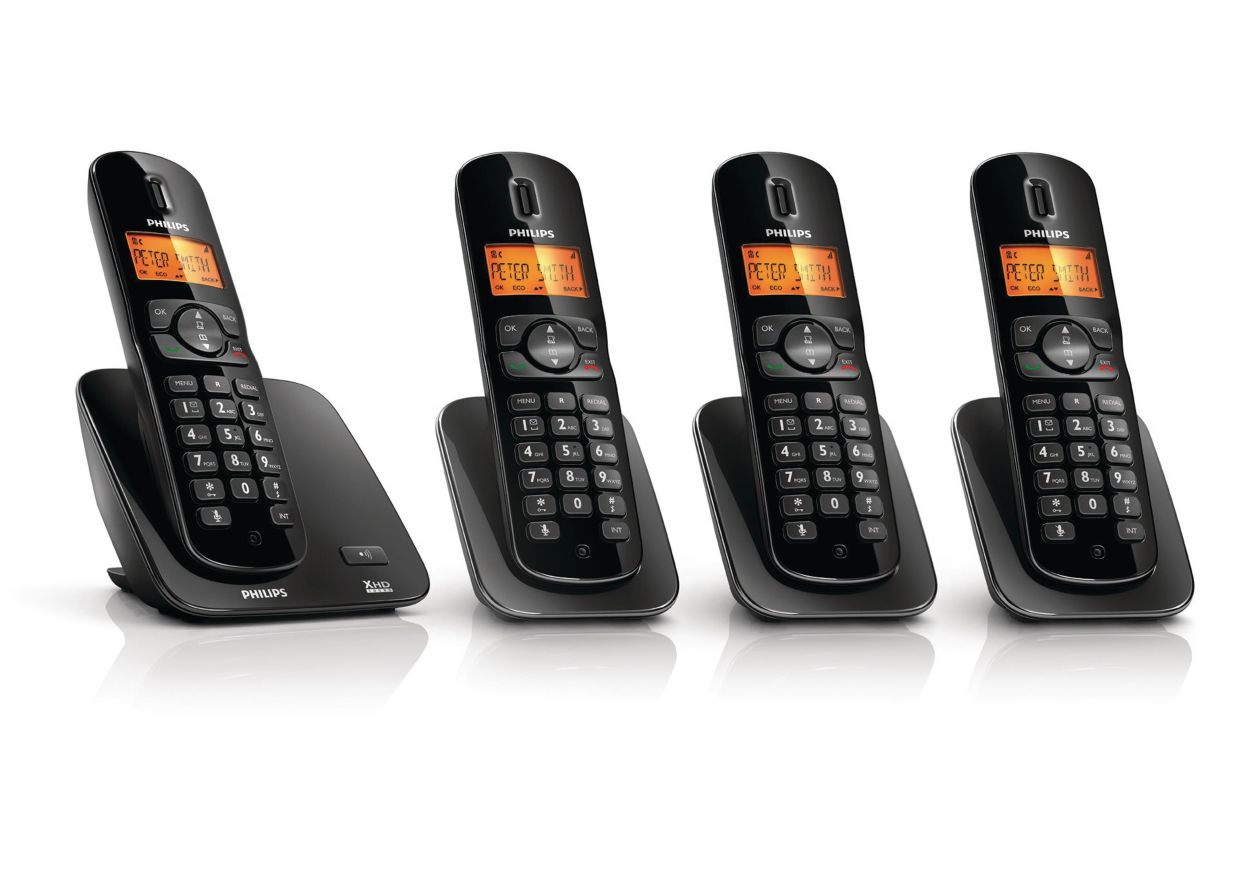 Perfect sound Cordless phone CD1704B/05 | Philips