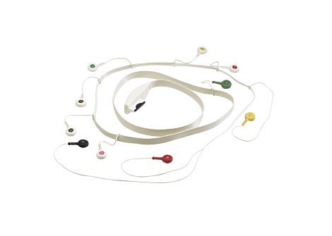 Philips - Large SV Patient Cable - 10 lead (IEC) - HC989803137671