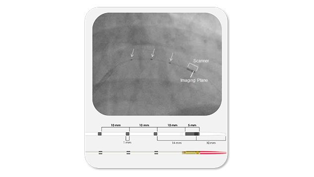 Philips Volcano - Eagle Eye Platinum Digital IVUS catheter