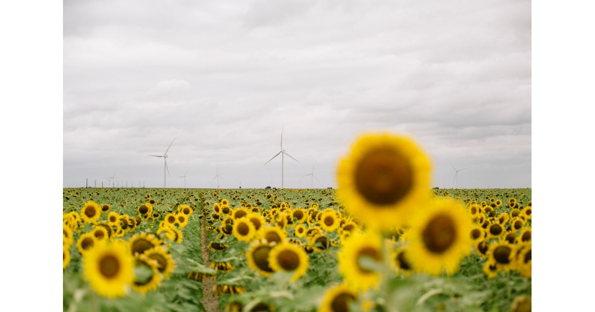 Sustainability across the value chain: an accelerator for health ...