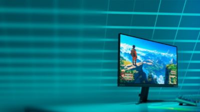 Dual Mode Monitors | Philips
