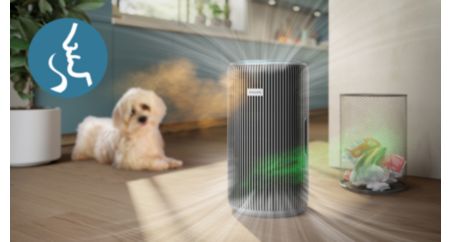 Best air purifier 2020 store